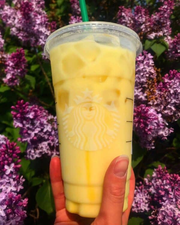 14 Best Dairy-free Starbucks Drinks to Try Next Time