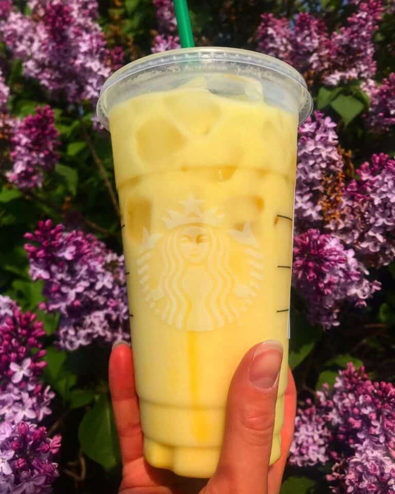 14 Best Dairy-free Starbucks Drinks to Try Next Time