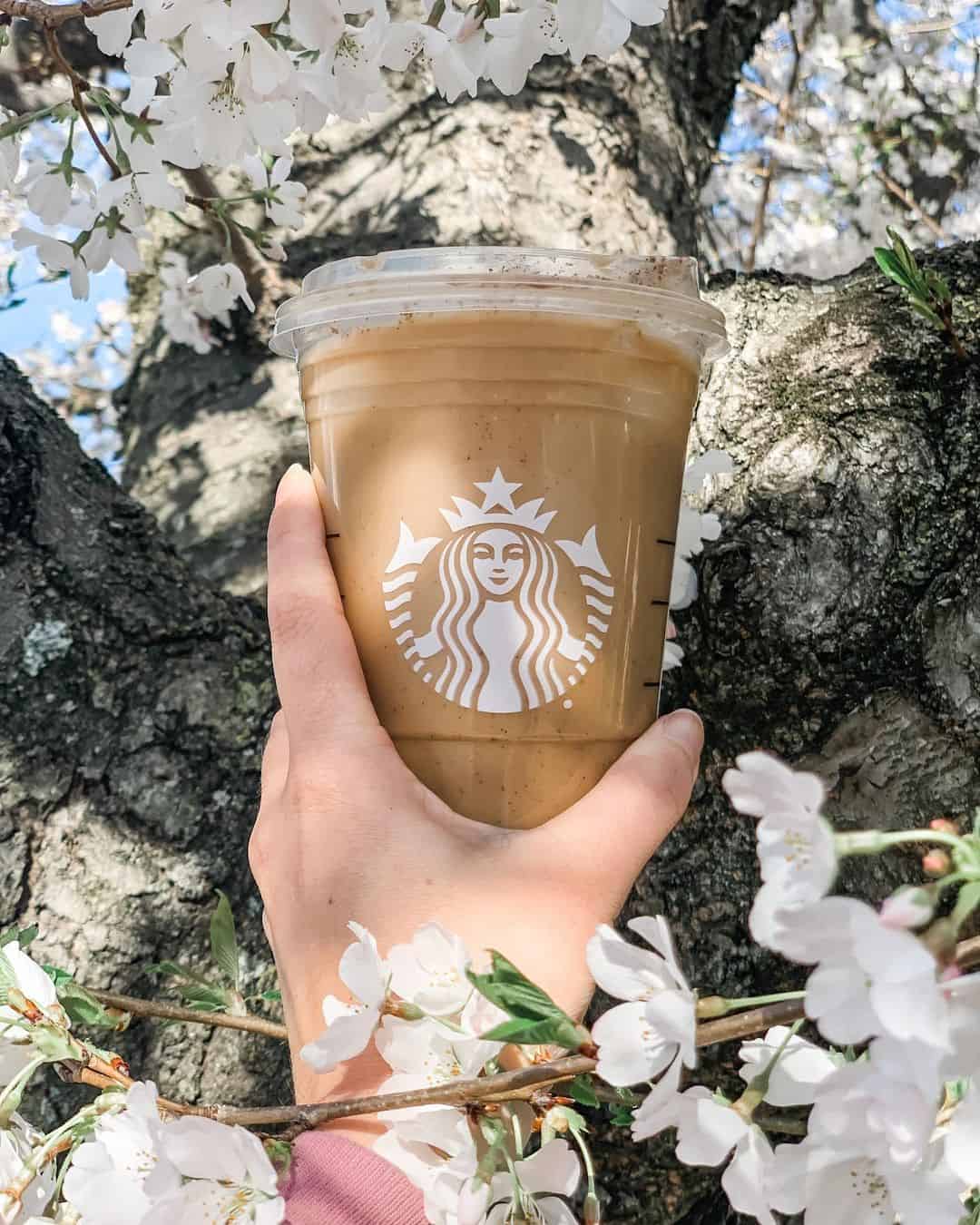 11 Best Sugar-Free Starbucks Drinks For Diet-Conscious Sippers