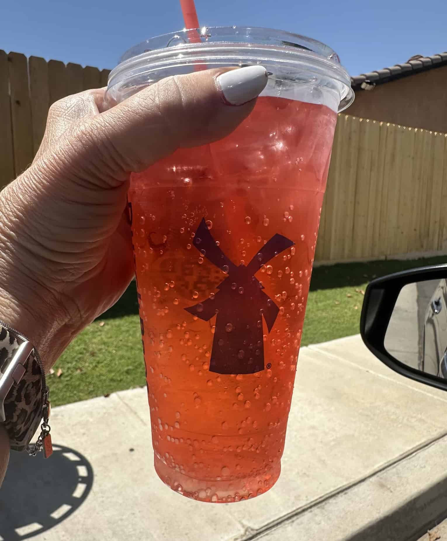 16 Best Dutch Bros Soda Drinks That Will Refresh You