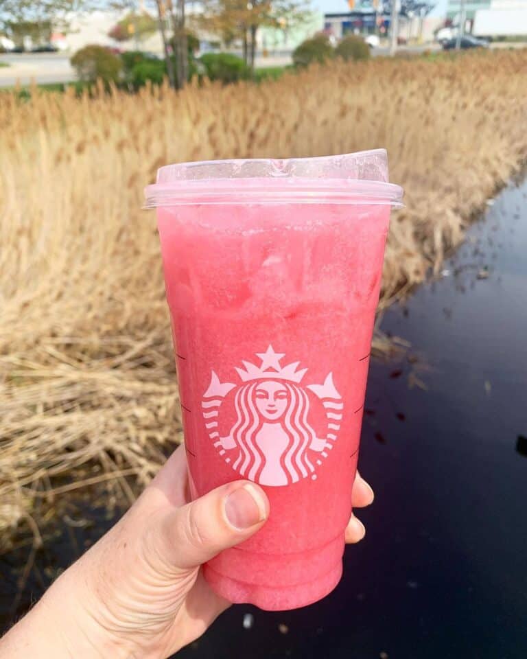 19 Best Starbucks Iced Tea Drinks For a Cool and Tasty Treat