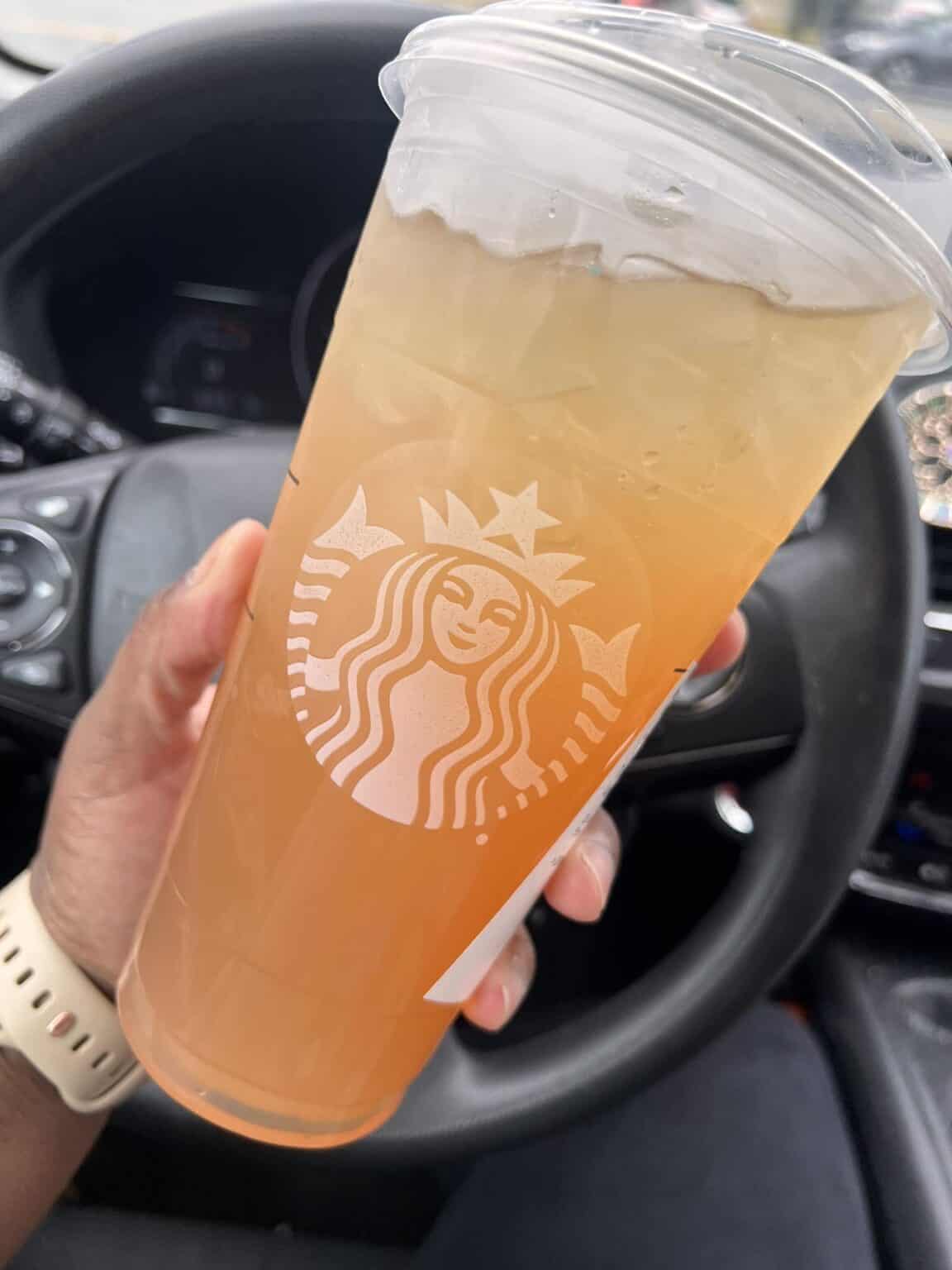 19 Best Starbucks Iced Tea Drinks For a Cool and Tasty Treat
