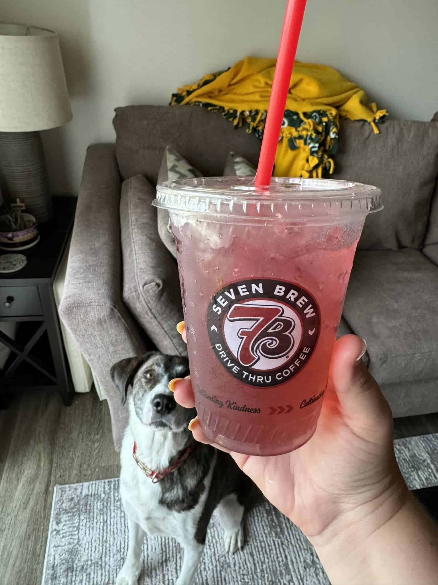 23 Best 7 Brew Lemonade Drinks Everyone’s Talking About