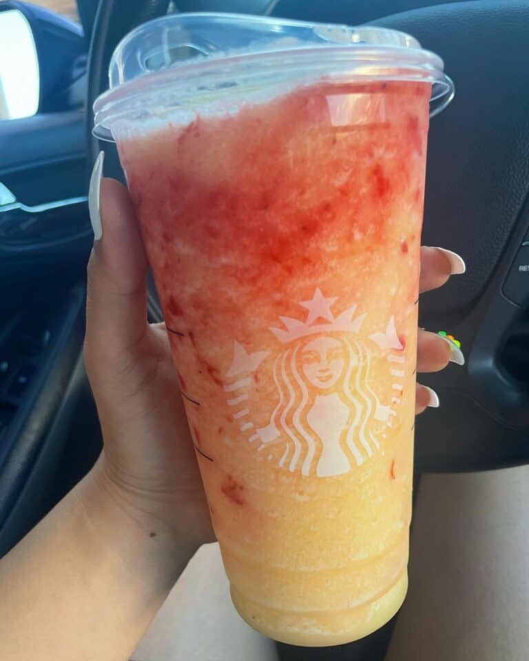 19+ Best Blended Starbucks Drinks (Perfect for Summer)