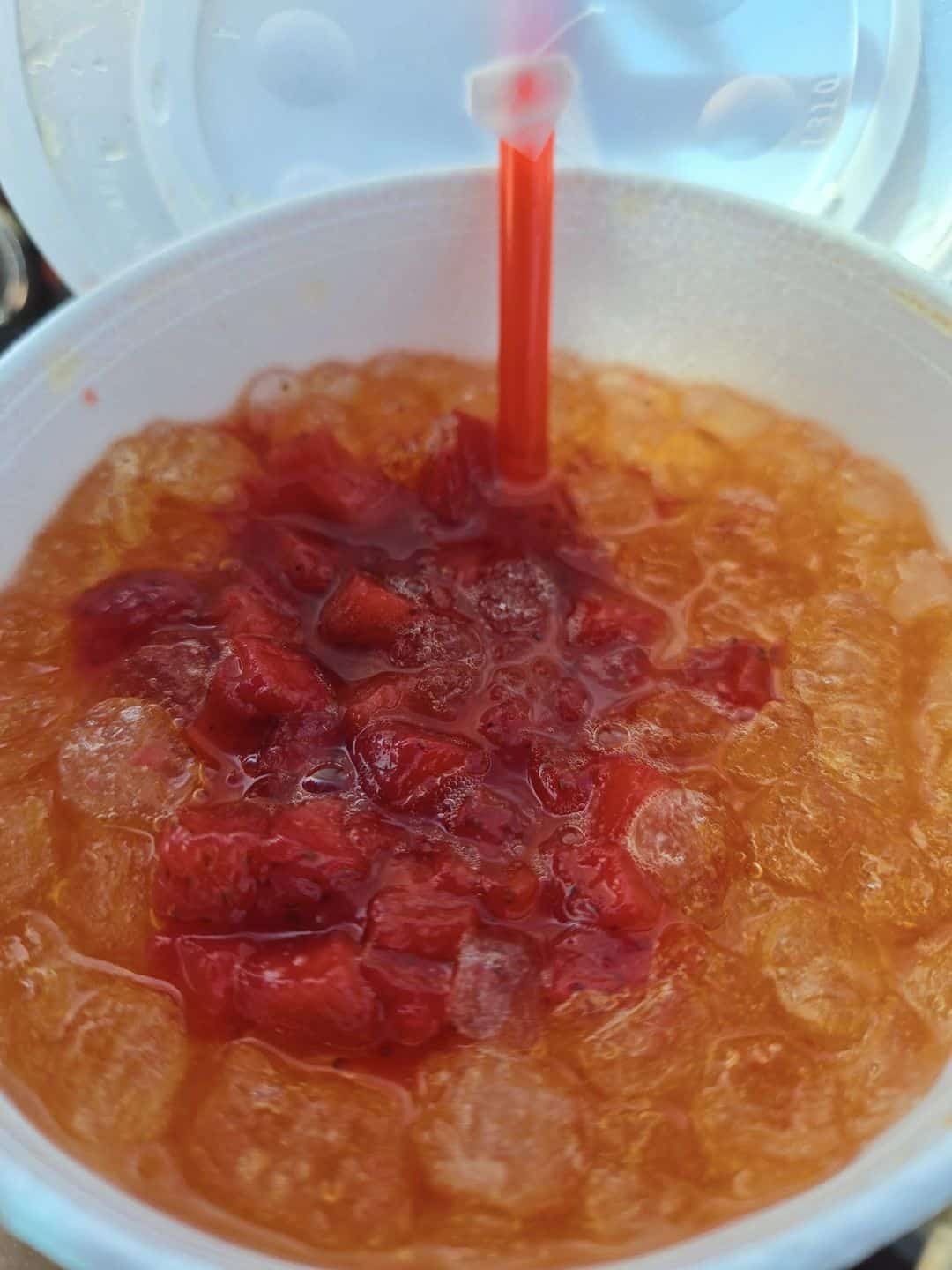 21+ Best Sonic Drinks Combinations That Will Make You a Fan